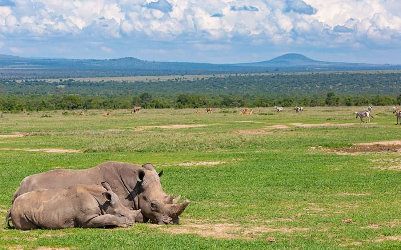 Ol Pejeta Conservancy – JONTAS TRAVELLERS